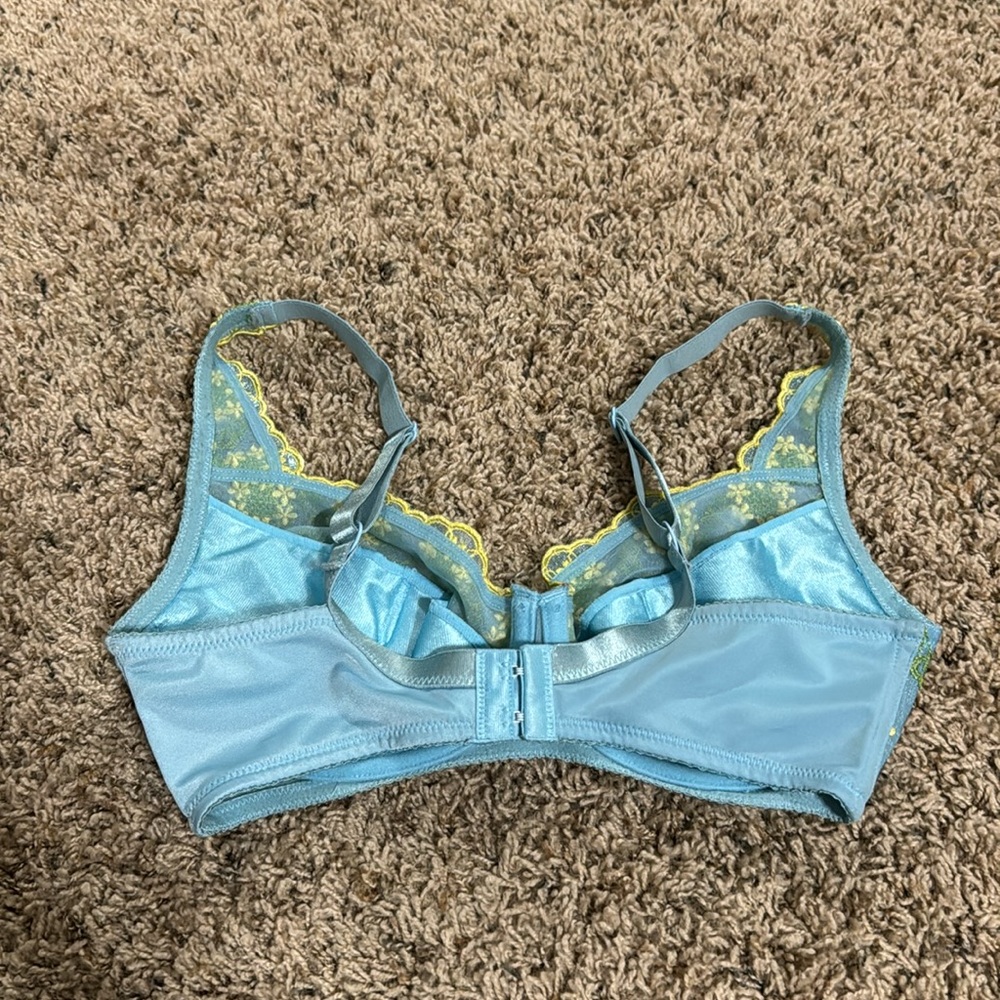 Fredericks Of Hollywood Bra - Gem